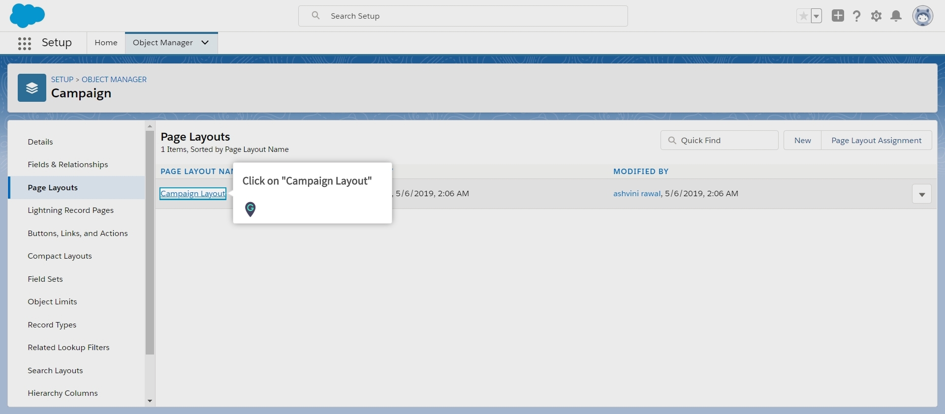How To Manage Layout Properties In Campaign Page Layout In Salesforce