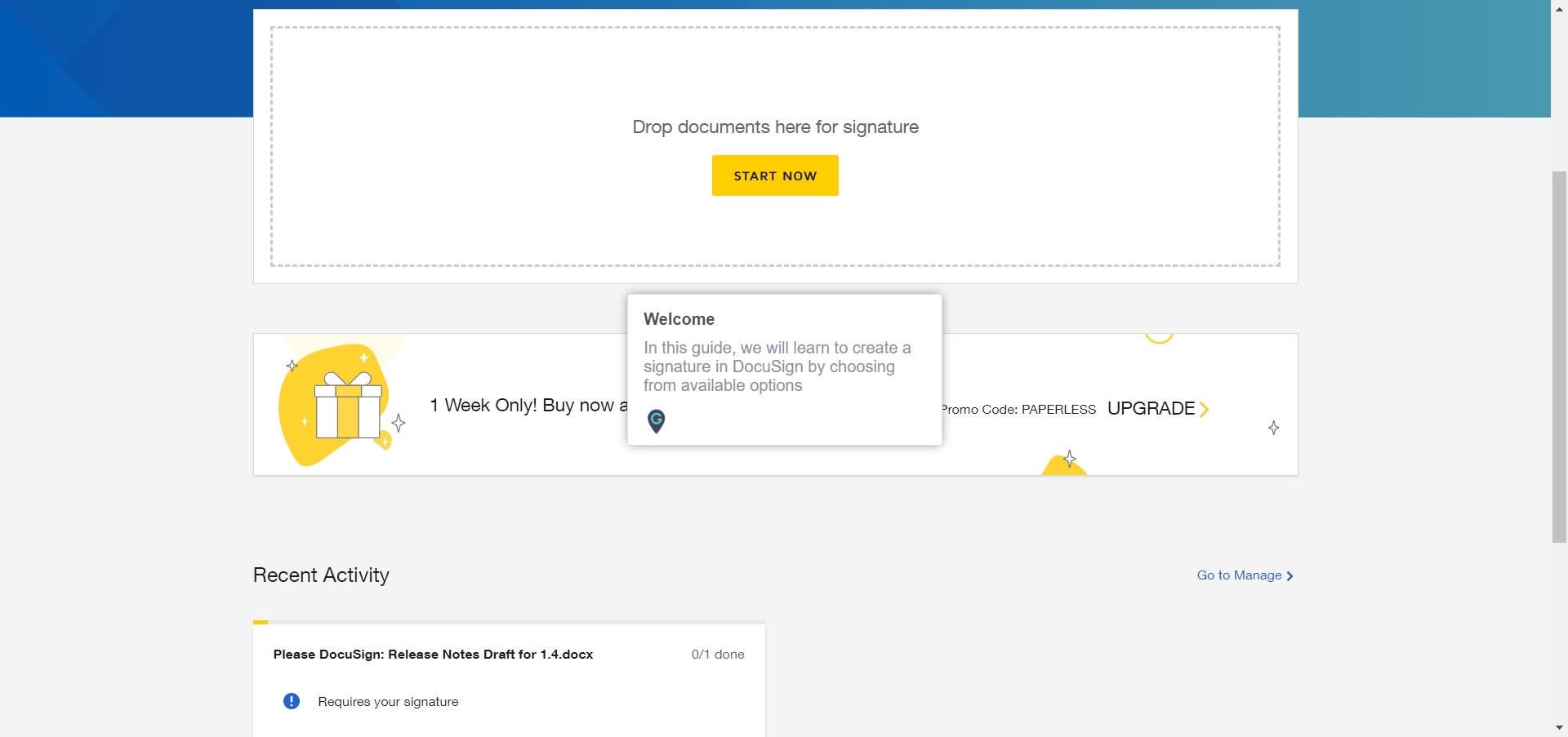 DocuSign Signature